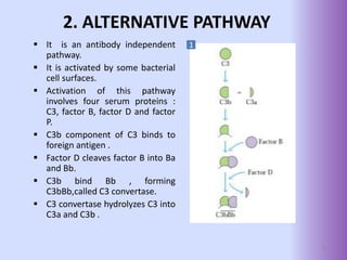 Complement System.pptx