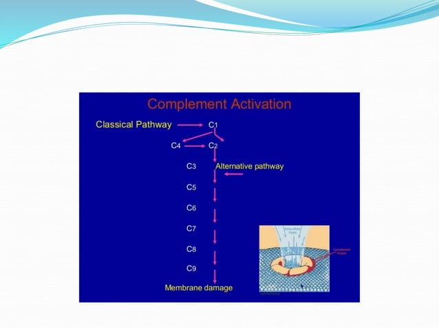 COMPLEMENT SYSTEM.pptx