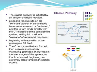 COMPLEMENT SYSTEM.pptx
