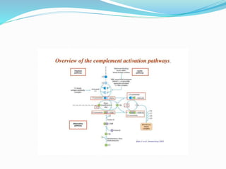 COMPLEMENT SYSTEM.pptx
