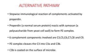 Complement system.pptx