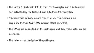 Complement system.pptx