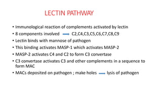 Complement system.pptx