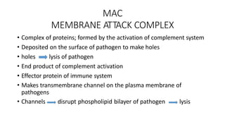 Complement system.pptx