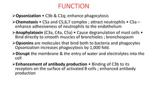 Complement system.pptx