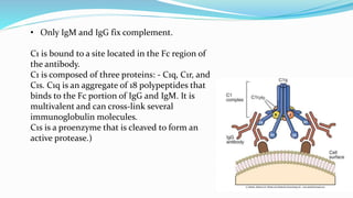 Complement system.pptx