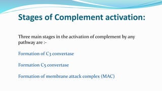 Complement system.pptx