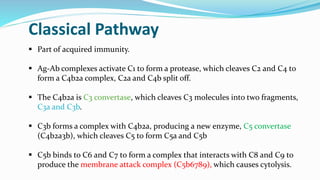 Complement system.pptx