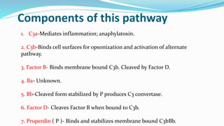 Complement system.pptx