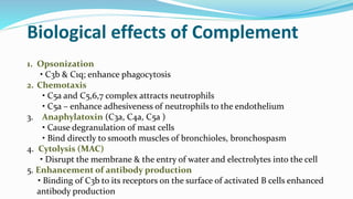 Complement system.pptx