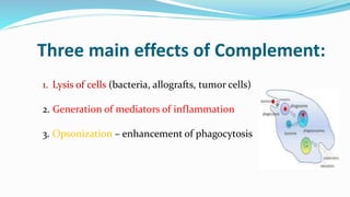 Complement system.pptx