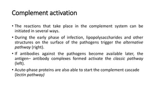 complement system.pdfxhdrdjreueruerueruruu | PDF