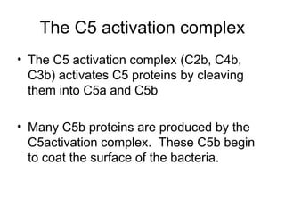 Complement System-Properties and functions | PPT