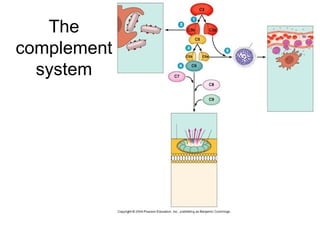 Complement System-Properties and functions | PPT