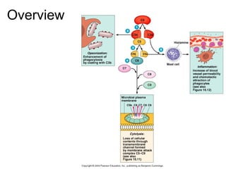 Complement System-Properties and functions | PPT