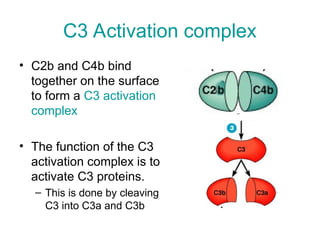 Complement System-Properties and functions | PPT
