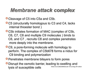 complement system and characteristics of CS | PPTX