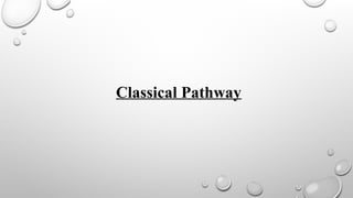 Complement System: Pathways, Regulations and biological effects.pptx