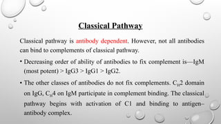 Complement System: Pathways, Regulations and biological effects.pptx