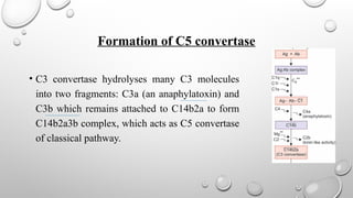 Complement System: Pathways, Regulations and biological effects.pptx