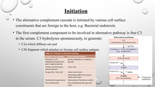 Complement System: Pathways, Regulations and biological effects.pptx