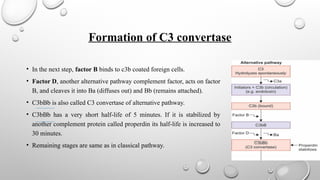 Complement System: Pathways, Regulations and biological effects.pptx