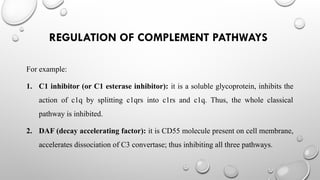 Complement System: Pathways, Regulations and biological effects.pptx