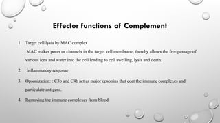 Complement System: Pathways, Regulations and biological effects.pptx