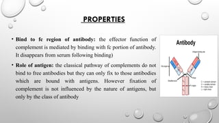 Complement System: Pathways, Regulations and biological effects.pptx