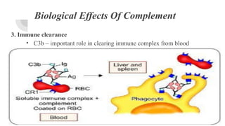 COMPLEMENT SYSTEM AND ITS CLINICAL IMPLICATIONS | PPT