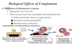 COMPLEMENT SYSTEM AND ITS CLINICAL IMPLICATIONS | PPT