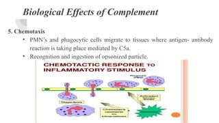 COMPLEMENT SYSTEM AND ITS CLINICAL IMPLICATIONS | PPT