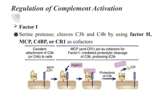 COMPLEMENT SYSTEM AND ITS CLINICAL IMPLICATIONS | PPT