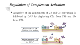 COMPLEMENT SYSTEM AND ITS CLINICAL IMPLICATIONS | PPT