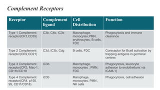 COMPLEMENT SYSTEM AND ITS CLINICAL IMPLICATIONS | PPT