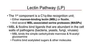 Complement System.pdf immunology lecture | PPT