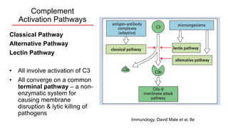 Complement System.pdf immunology lecture | PPT