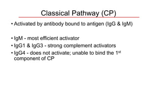 Complement System.pdf immunology lecture | PPT