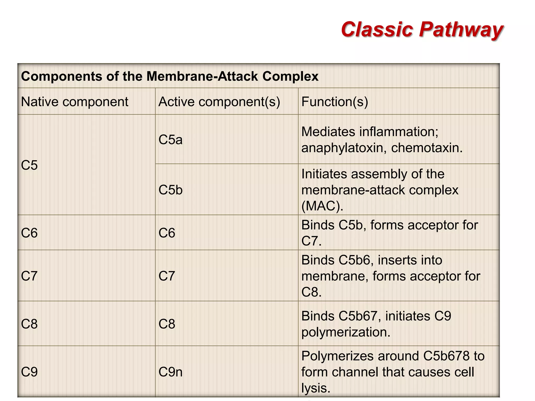 Complement system | PPTX