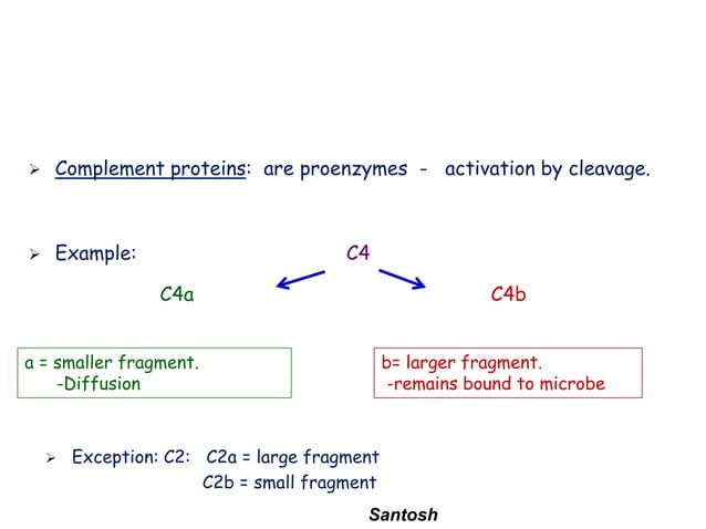 Complement system | PPTX