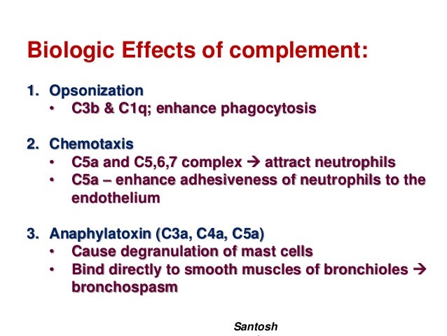 Complement system