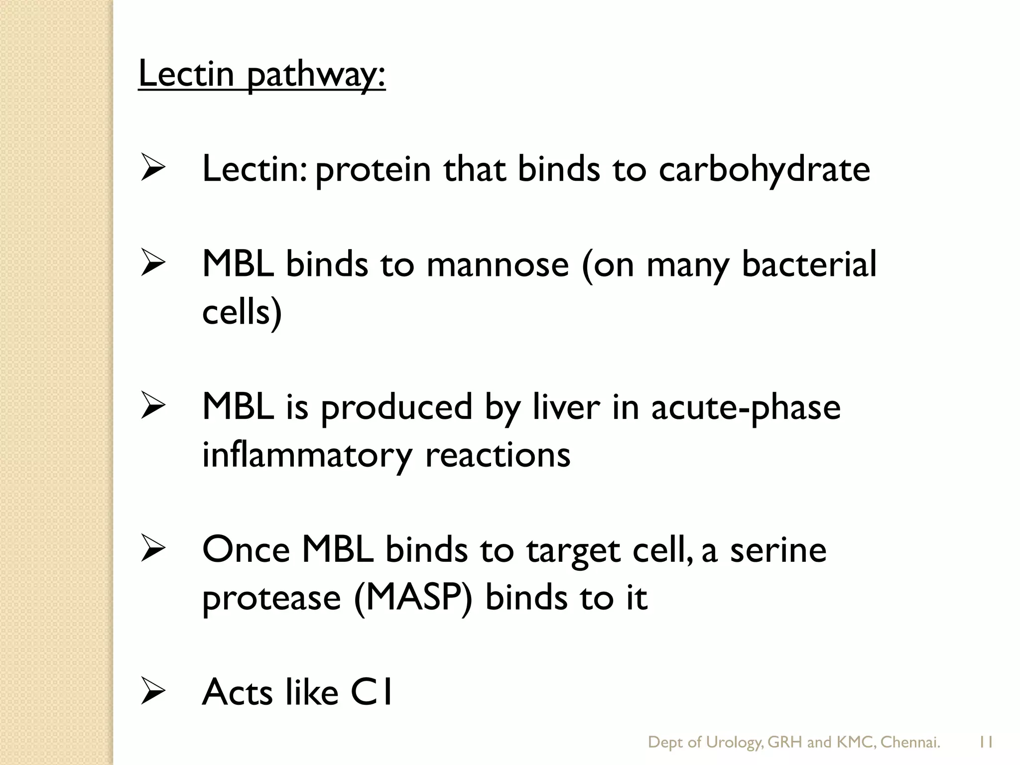 Complement system Immunoglobulin | PDF