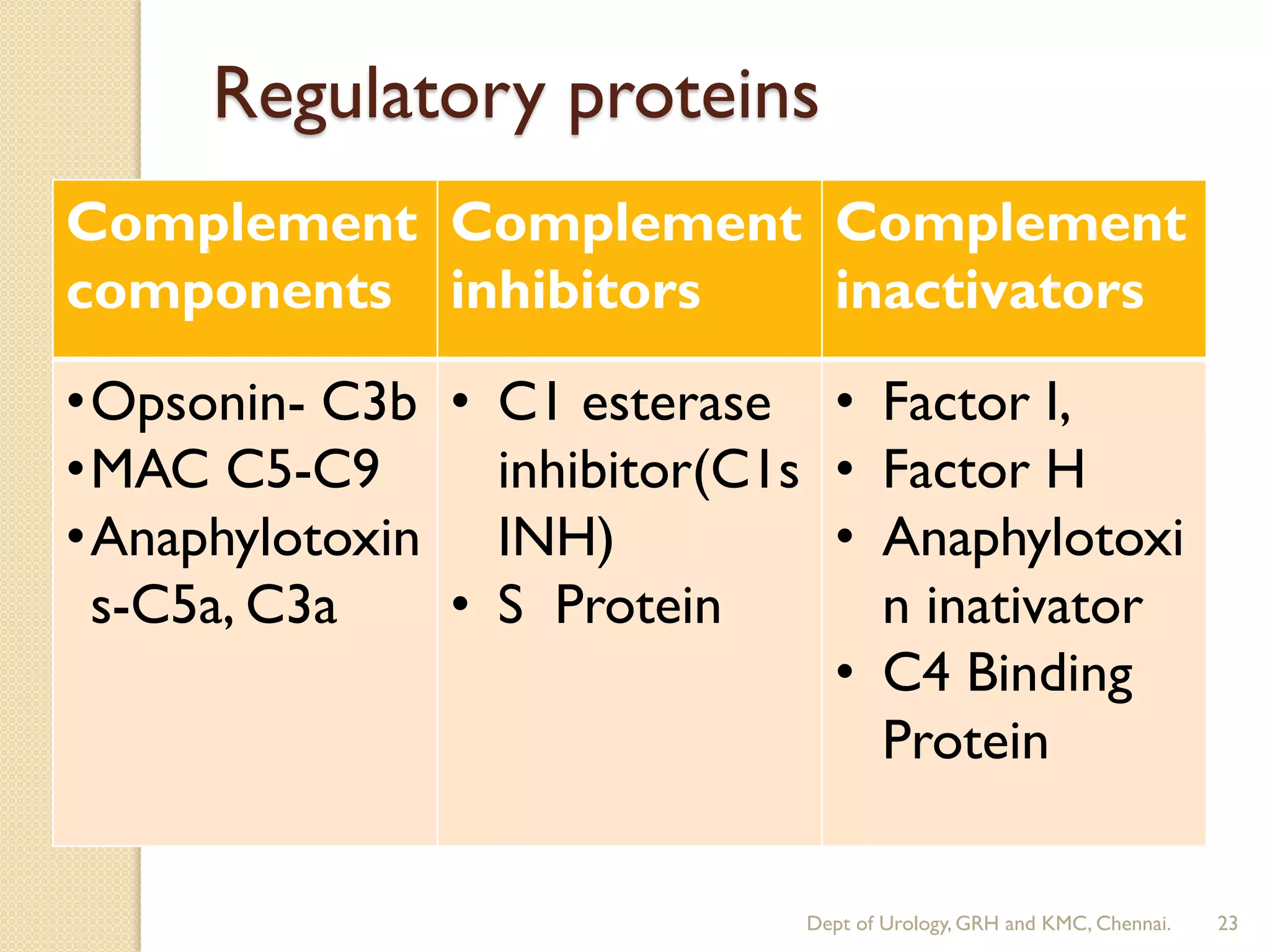 Complement system Immunoglobulin | PDF