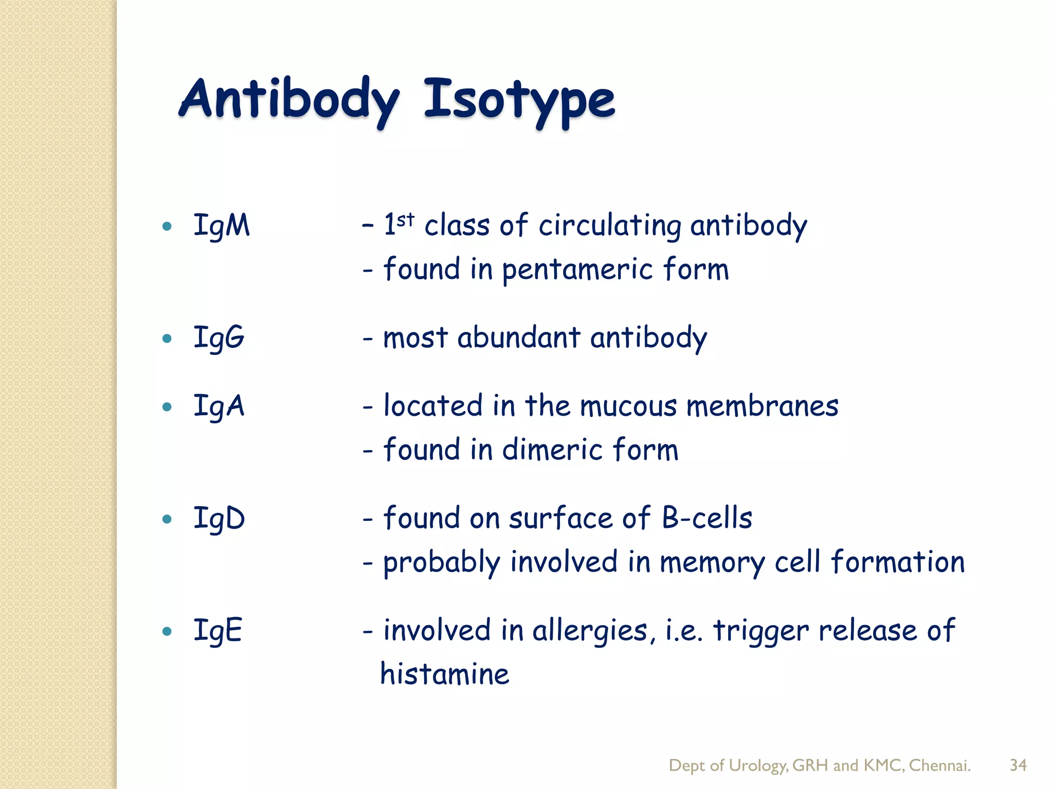 Complement system Immunoglobulin | PDF