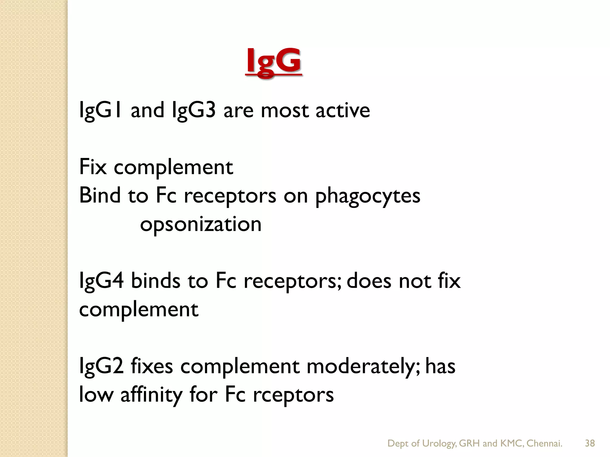Complement system Immunoglobulin | PDF