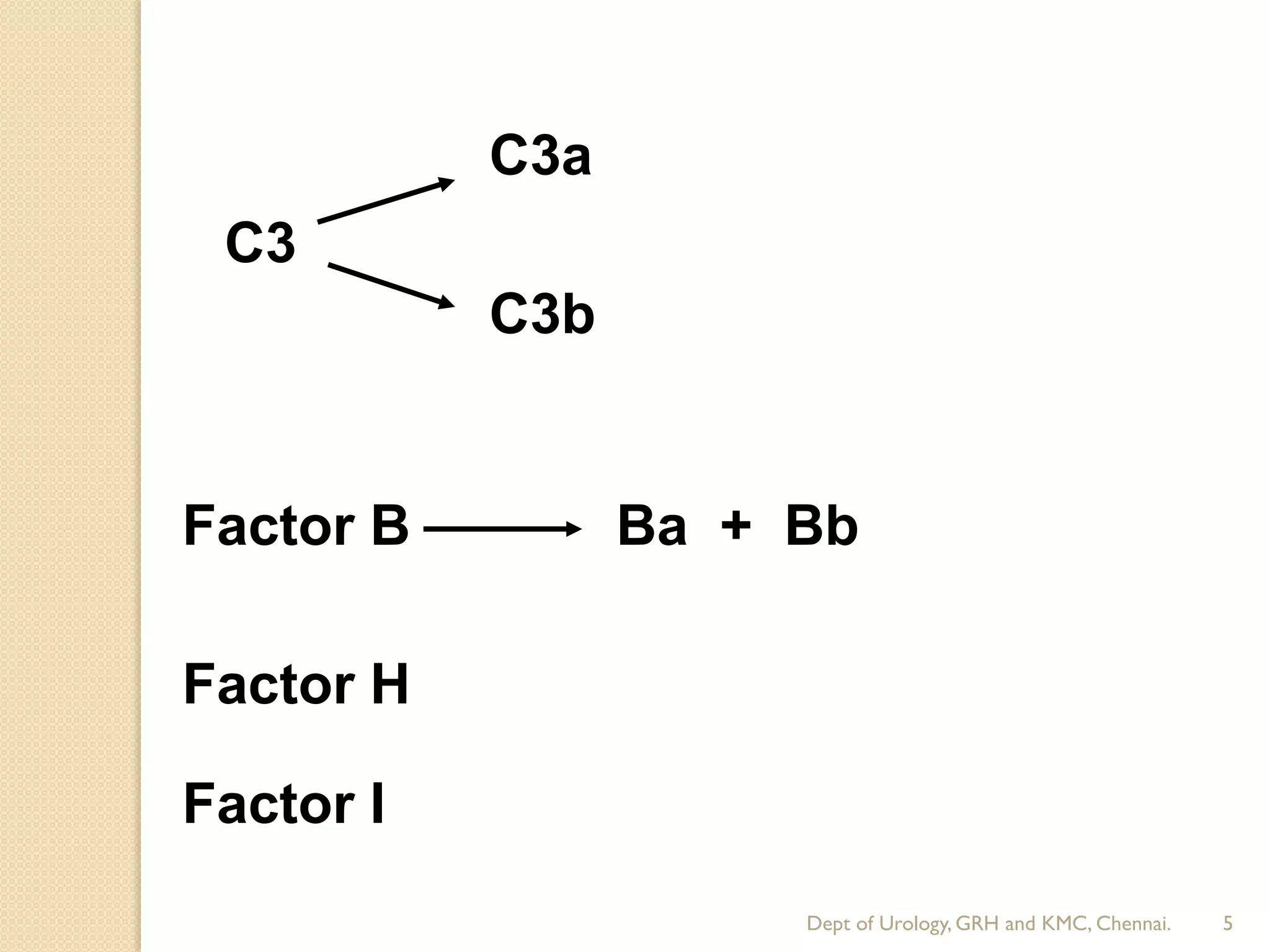 Complement system Immunoglobulin | PDF