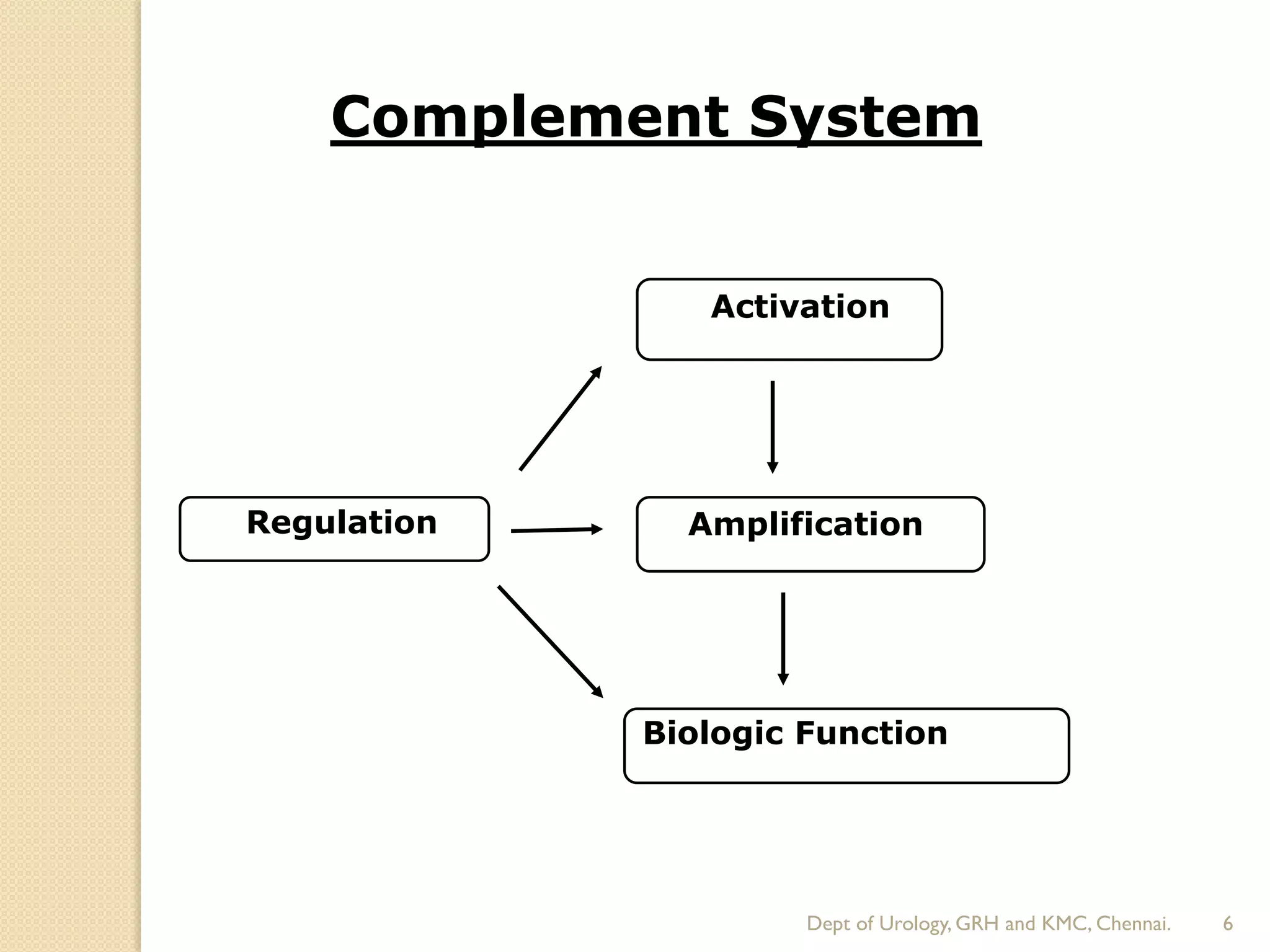 Complement system Immunoglobulin | PDF
