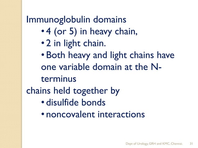 Complement system Immunoglobulin | PPT