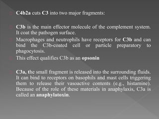 Complement system | PPTX