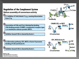 Complement system | PPTX
